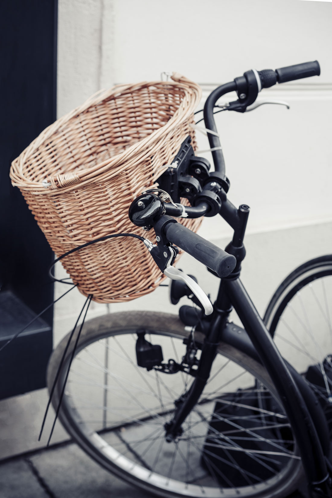 About – Hello Lily